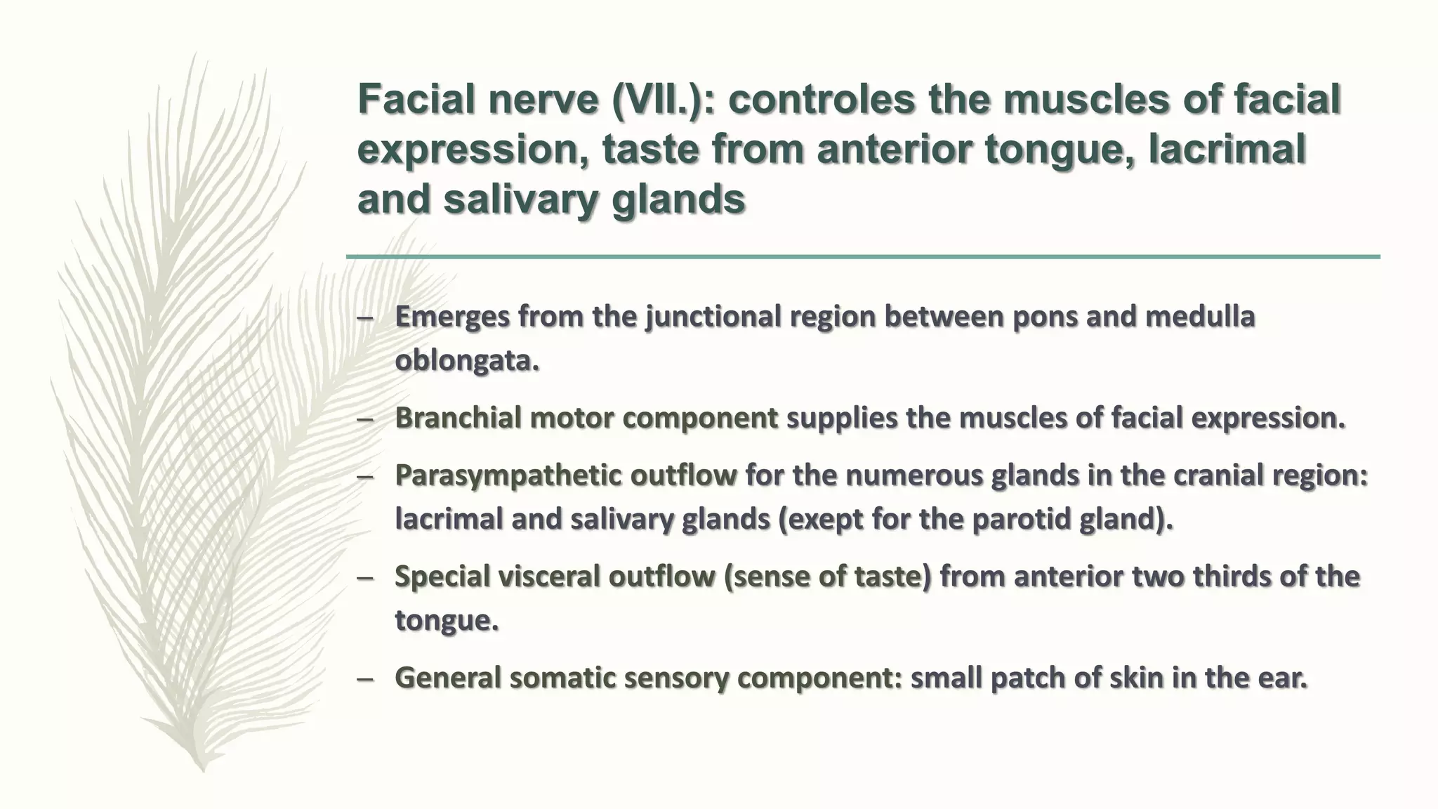 Cranial and spinal nerves | PPSX