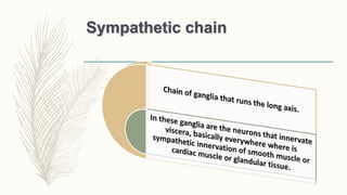 Cranial and spinal nerves | PPSX | Ear, Nose and Throat Conditions ...