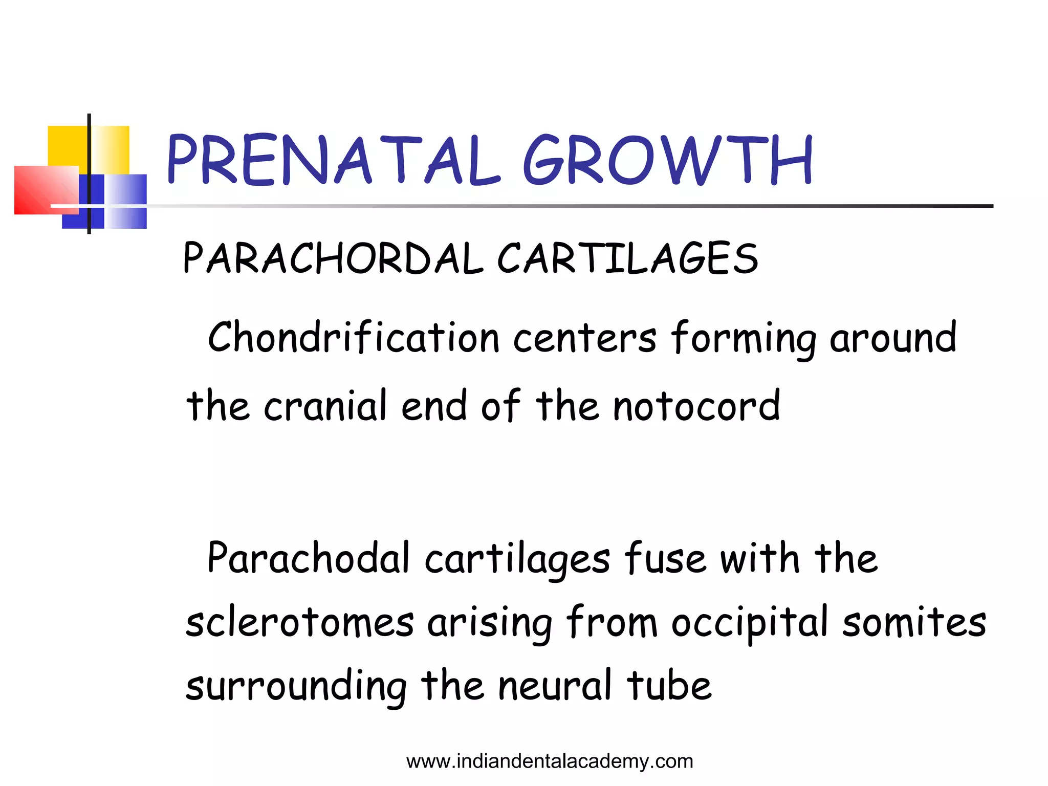 growth and development of Cranial base | PPT