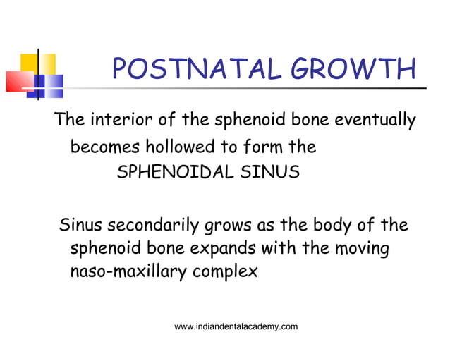growth and development of Cranial base | PPT