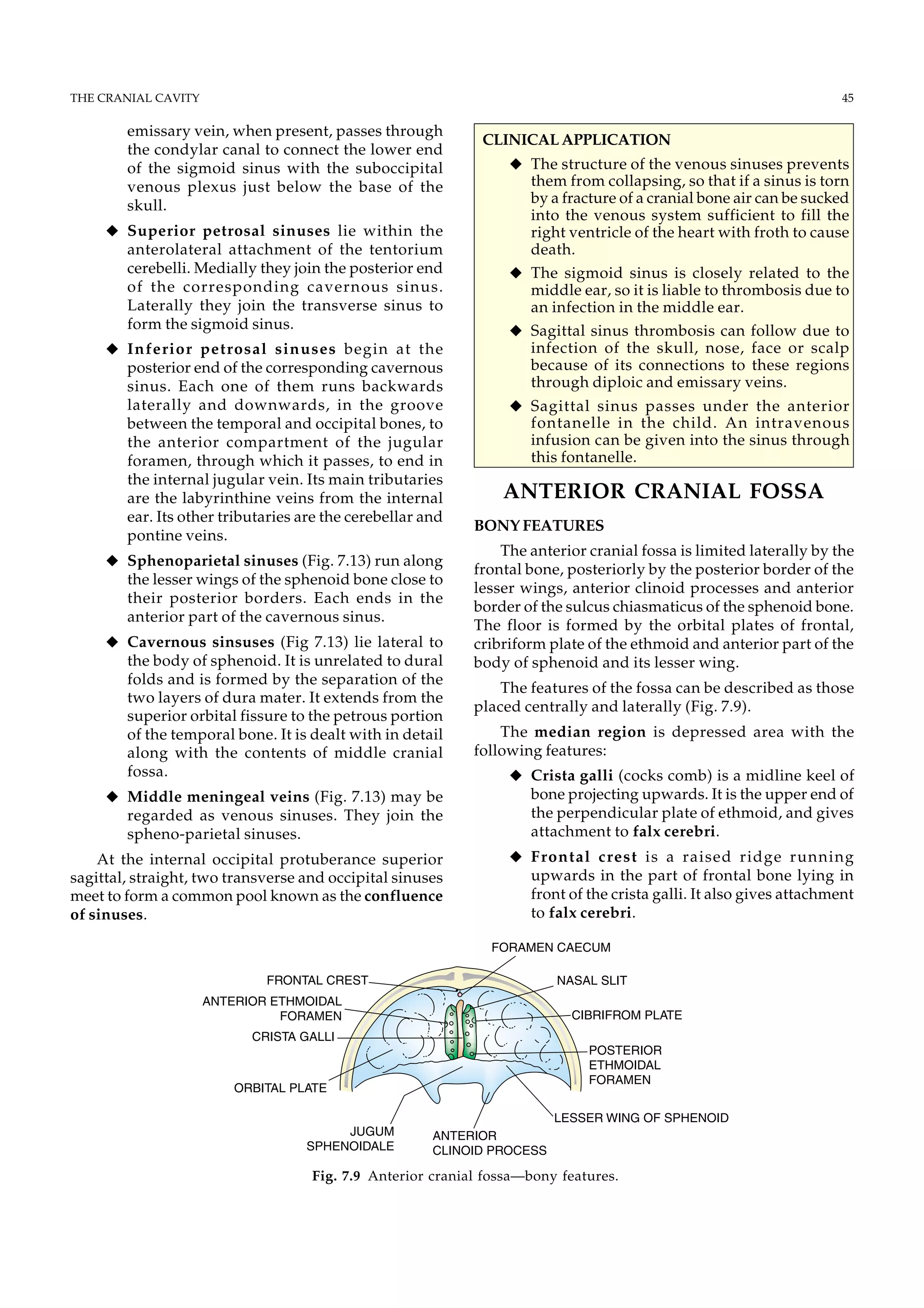 Cranial cavity | PDF