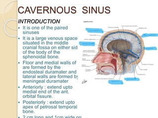 Cranial cavity ( Department of Anatomy) | PPTX