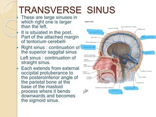 Cranial cavity ( Department of Anatomy) | PPTX