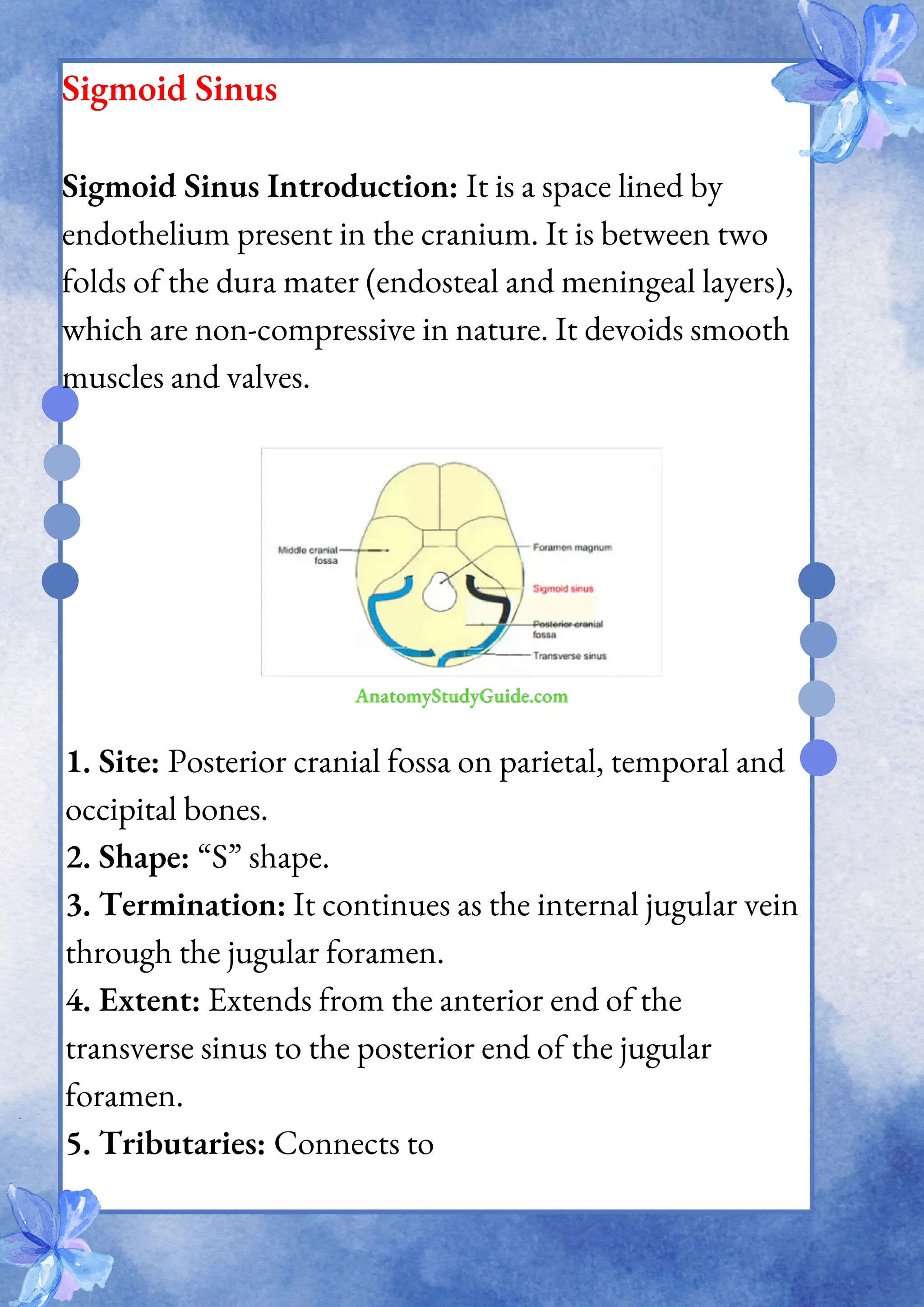 Cranial Cavity Sigmoid Sinus Cranial cavity ppt .pdf