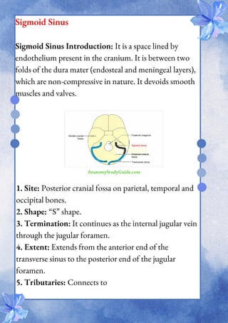 Cranial Cavity Sigmoid Sinus Cranial cavity ppt .pdf