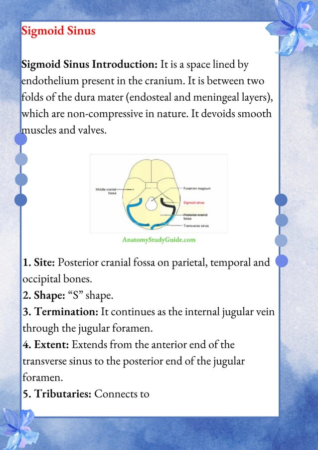 Cranial Cavity Sigmoid Sinus Cranial cavity ppt .pdf