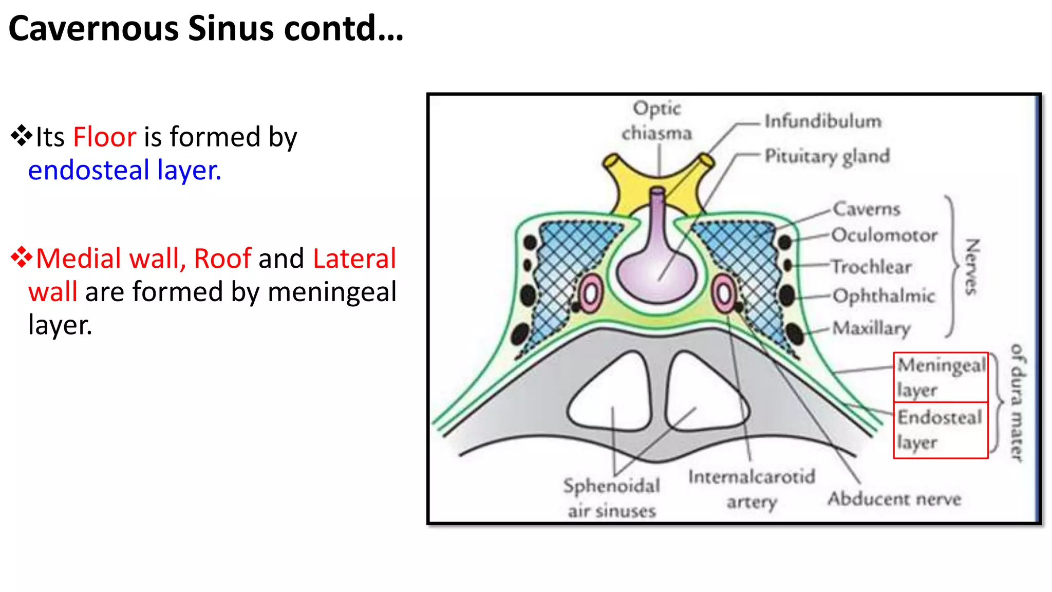 CRANIAL CAVITY-II.pdf