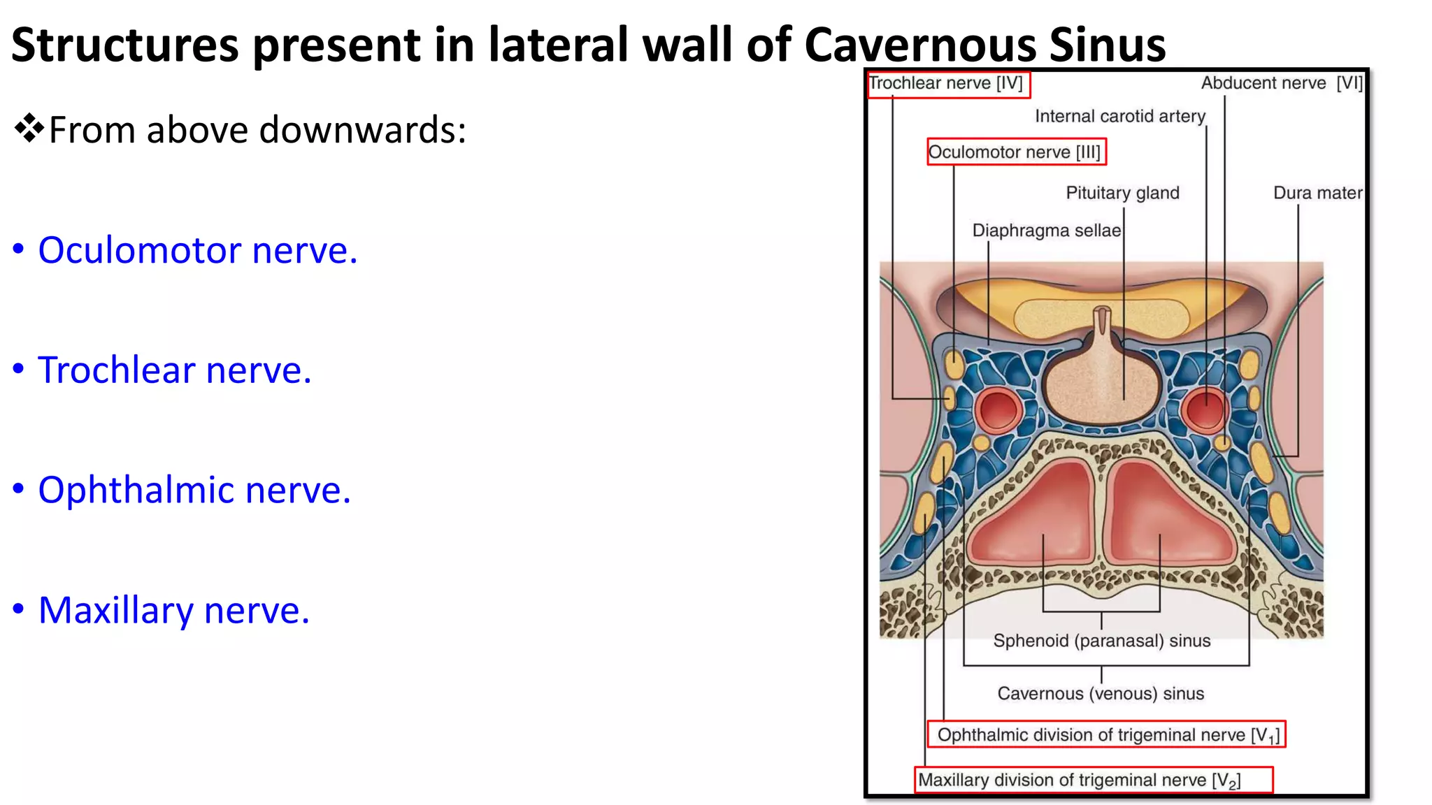 CRANIAL CAVITY-II.pdf