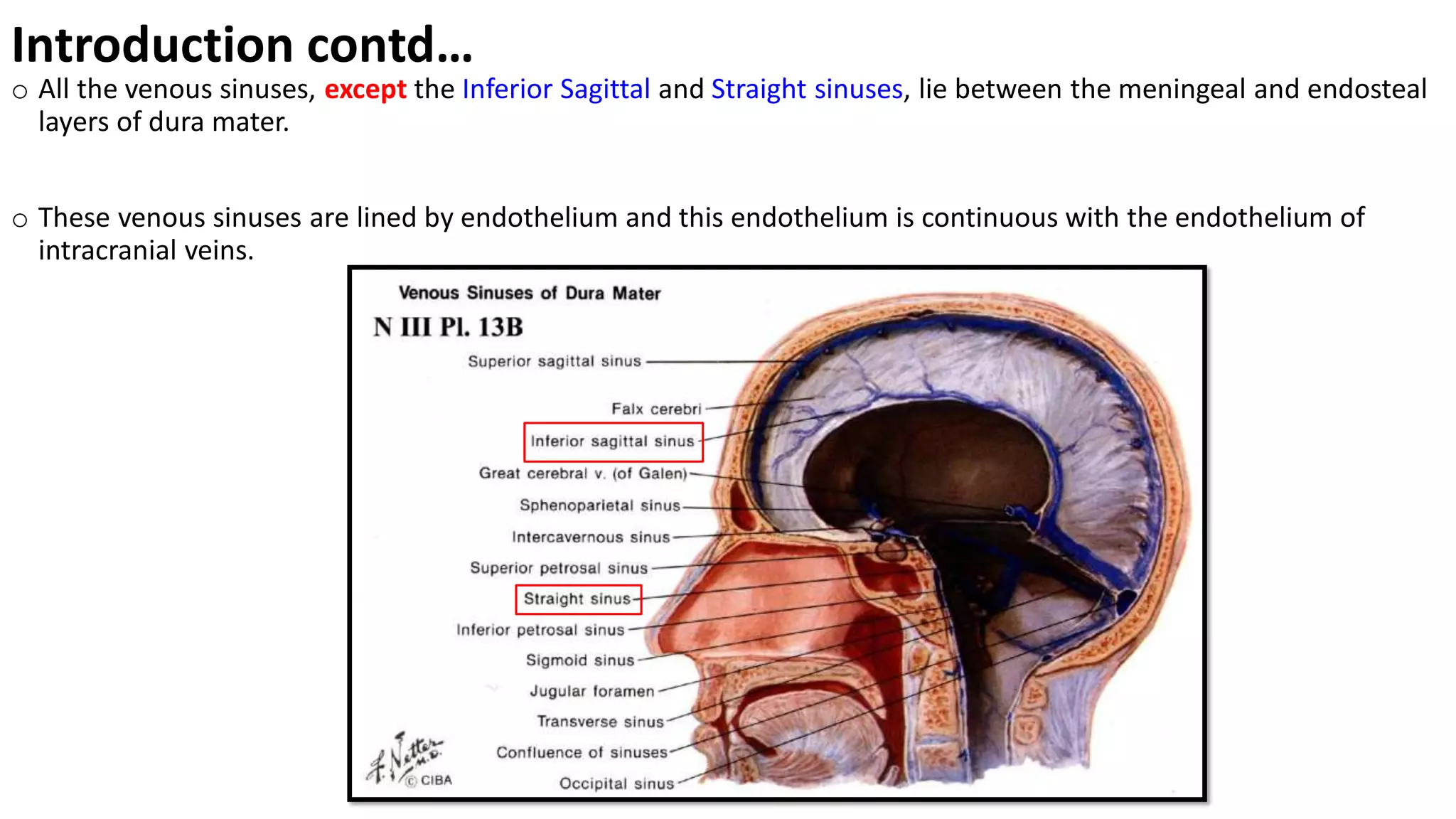 CRANIAL CAVITY-II.pdf