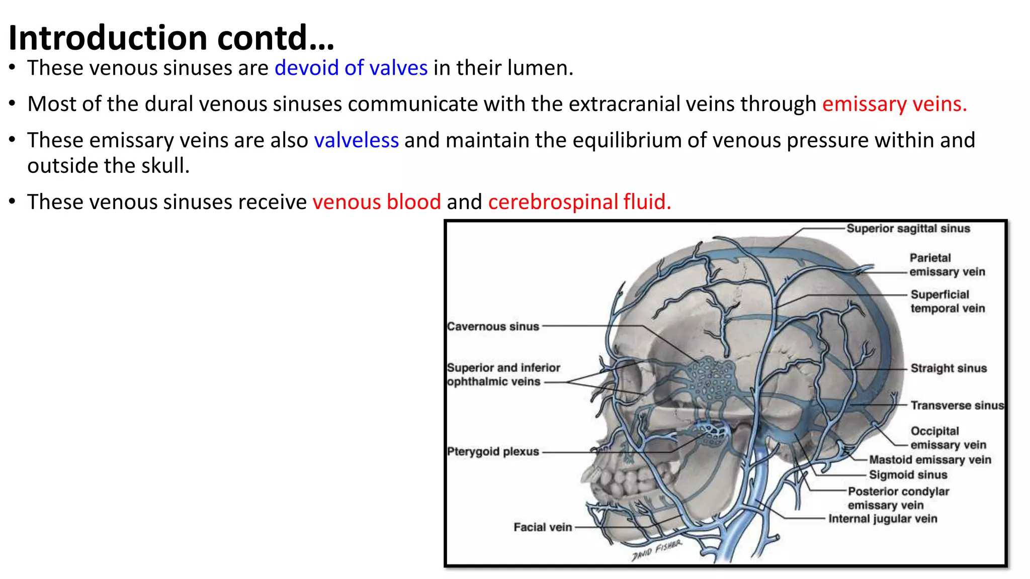 CRANIAL CAVITY-II.pdf