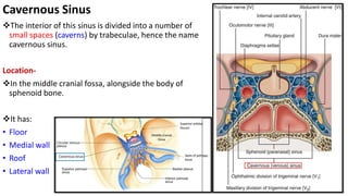 CRANIAL CAVITY-II.pdf