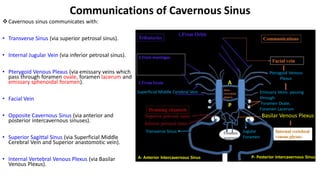 CRANIAL CAVITY-II.pdf