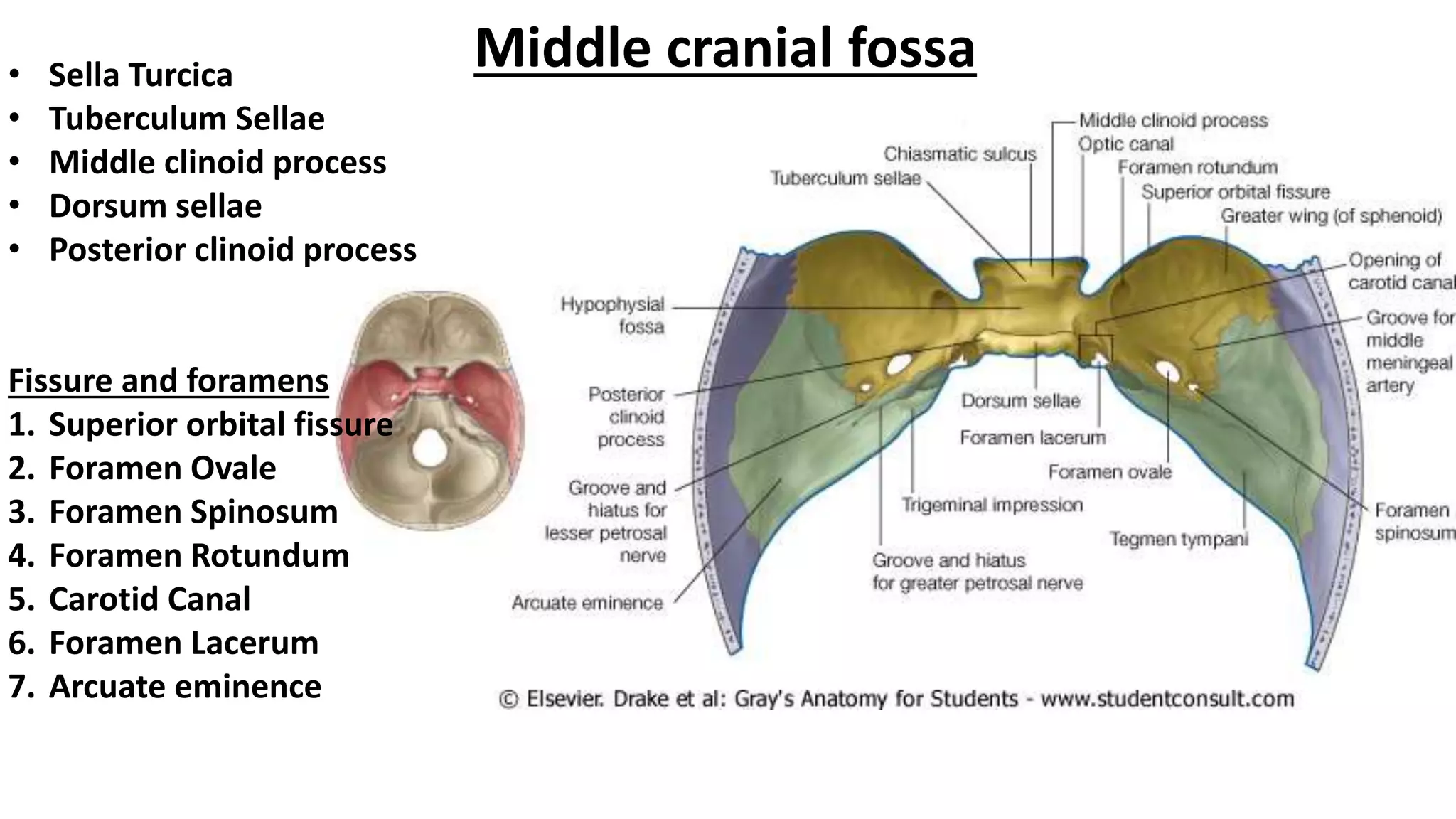CRANIAL CAVITY 1.pptx