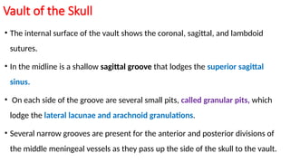 Cranial cavity (fossas).pptx . . . . . . | PPTX