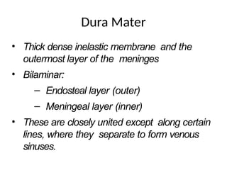 Cranial cavity Meninges and the dural sinuses.pptx