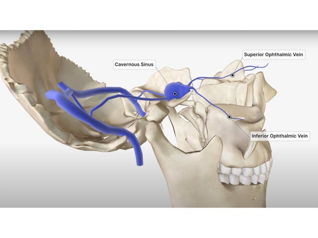 Cranial cavity Meninges and the dural sinuses.pptx