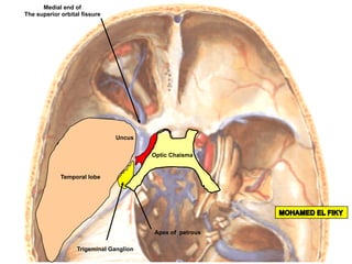 Cranial cavity part 2 | PPT