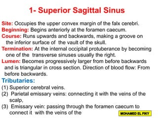 Cranial cavity part 2 | PPT