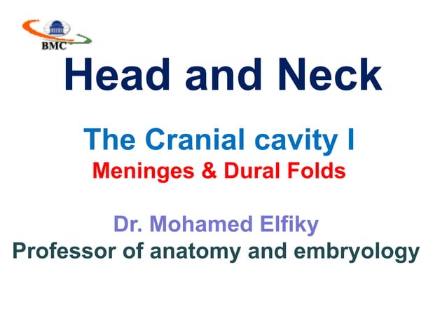 Cranial cavity part 1 | PDF | Death, Injury, or Military Conflict ...