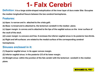 Cranial cavity part 1 | PDF