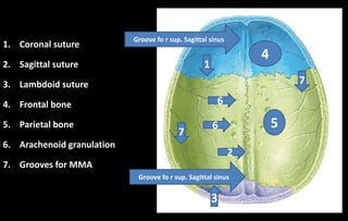 Cranial cavity + skull cap | PPTX