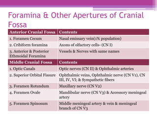 Cranial fossa-SCALP | PPTX