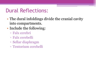 Cranial fossa-SCALP | PPTX