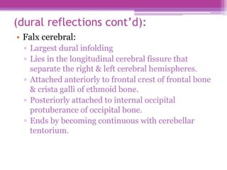 Cranial fossa-SCALP | PPTX