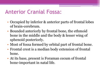 Cranial fossa-SCALP | PPTX