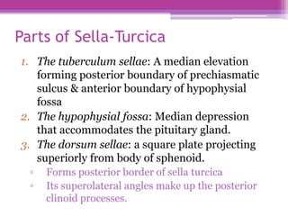 Cranial fossa-SCALP | PPTX