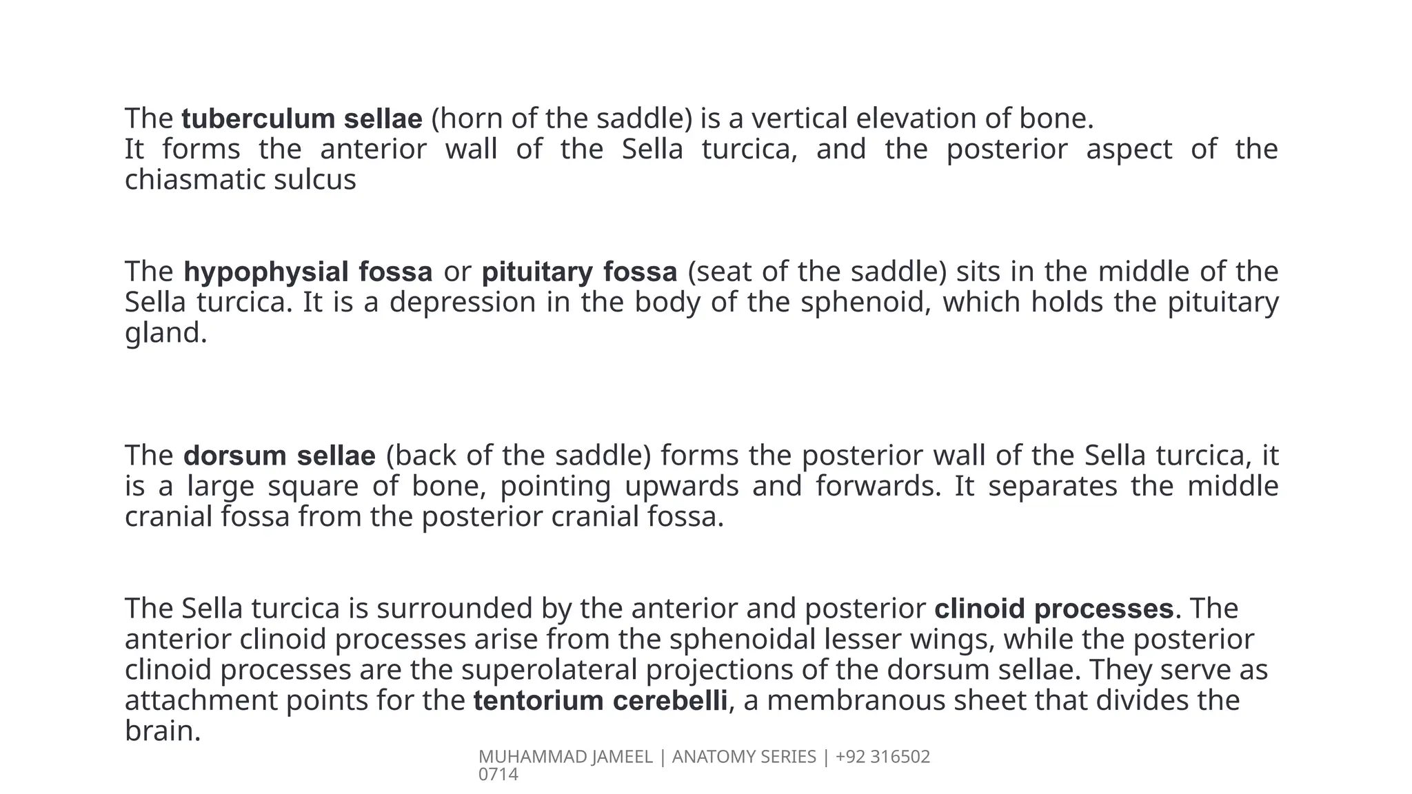 Cranial fossa Anatomy | skull bones anatomy | PPTX
