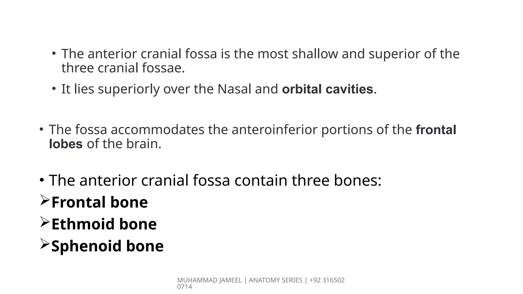 Cranial fossa Anatomy | skull bones anatomy | PPTX