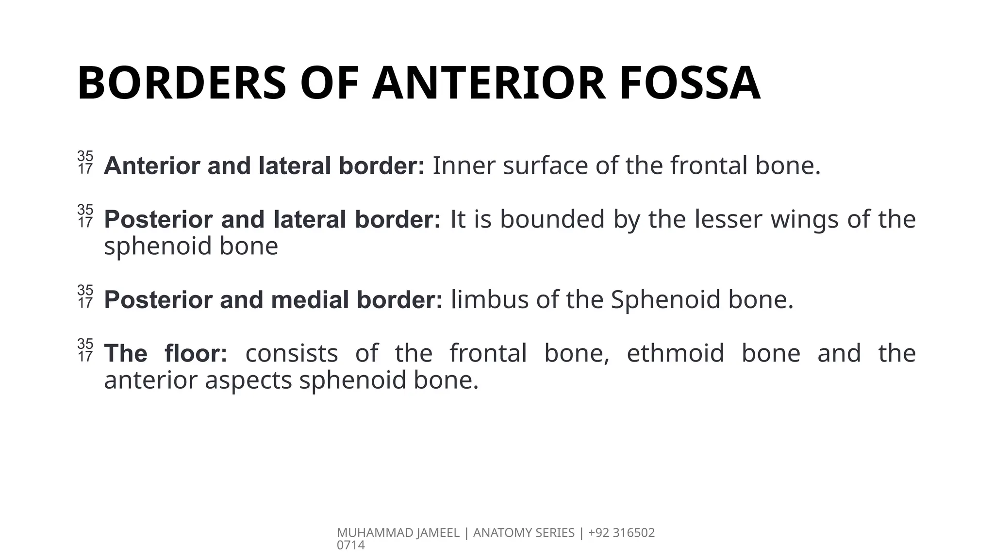 Cranial fossa Anatomy | skull bones anatomy | PPTX
