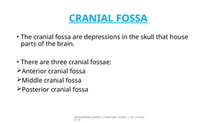 Cranial fossa Anatomy | skull bones anatomy | PPTX