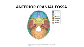 Cranial fossa Anatomy | skull bones anatomy | PPTX