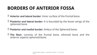 Cranial fossa Anatomy | skull bones anatomy | PPTX