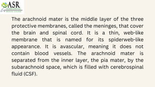 cranial fossa and Meninges by T.Nikitha.pdf
