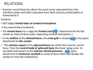 Cranial fossae by dr.meher | PPT
