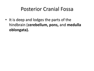 Cranial fossae in base of the human skull | PDF