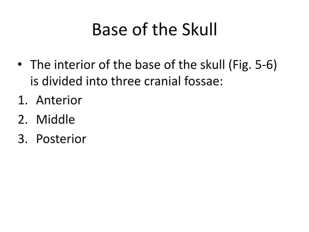 Cranial fossae in base of the human skull | PDF