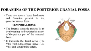 CRANIAL FOSSAE: Anterior, Middle and Posterior Fossa | PPTX