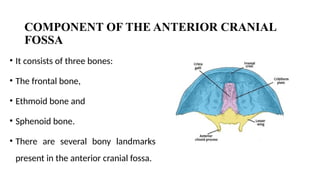 CRANIAL FOSSAE: Anterior, Middle and Posterior Fossa | PPTX