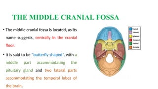 CRANIAL FOSSAE: Anterior, Middle and Posterior Fossa | PPTX