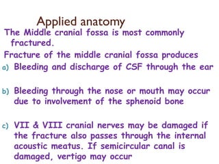 anatomy of the Cranial fossae of the skull.pptx