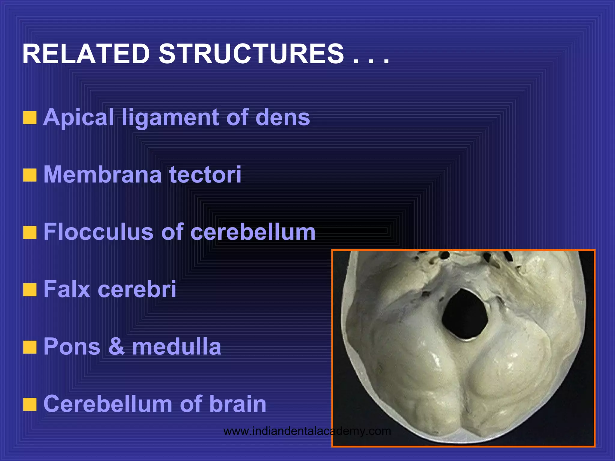 Cranial fossae and its related structures | PPT