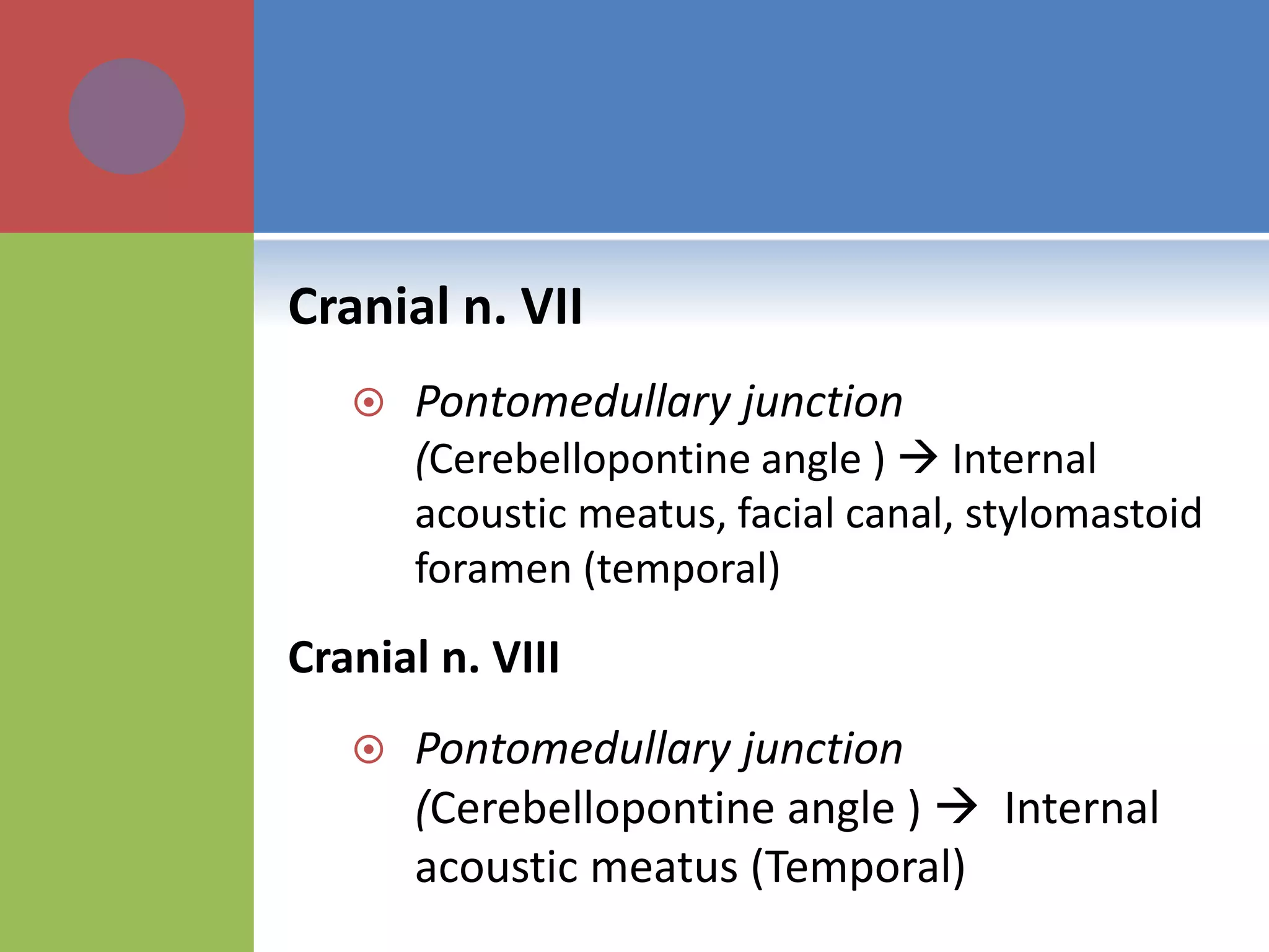 CRANIAL NERVES- ANATOMY | PPT