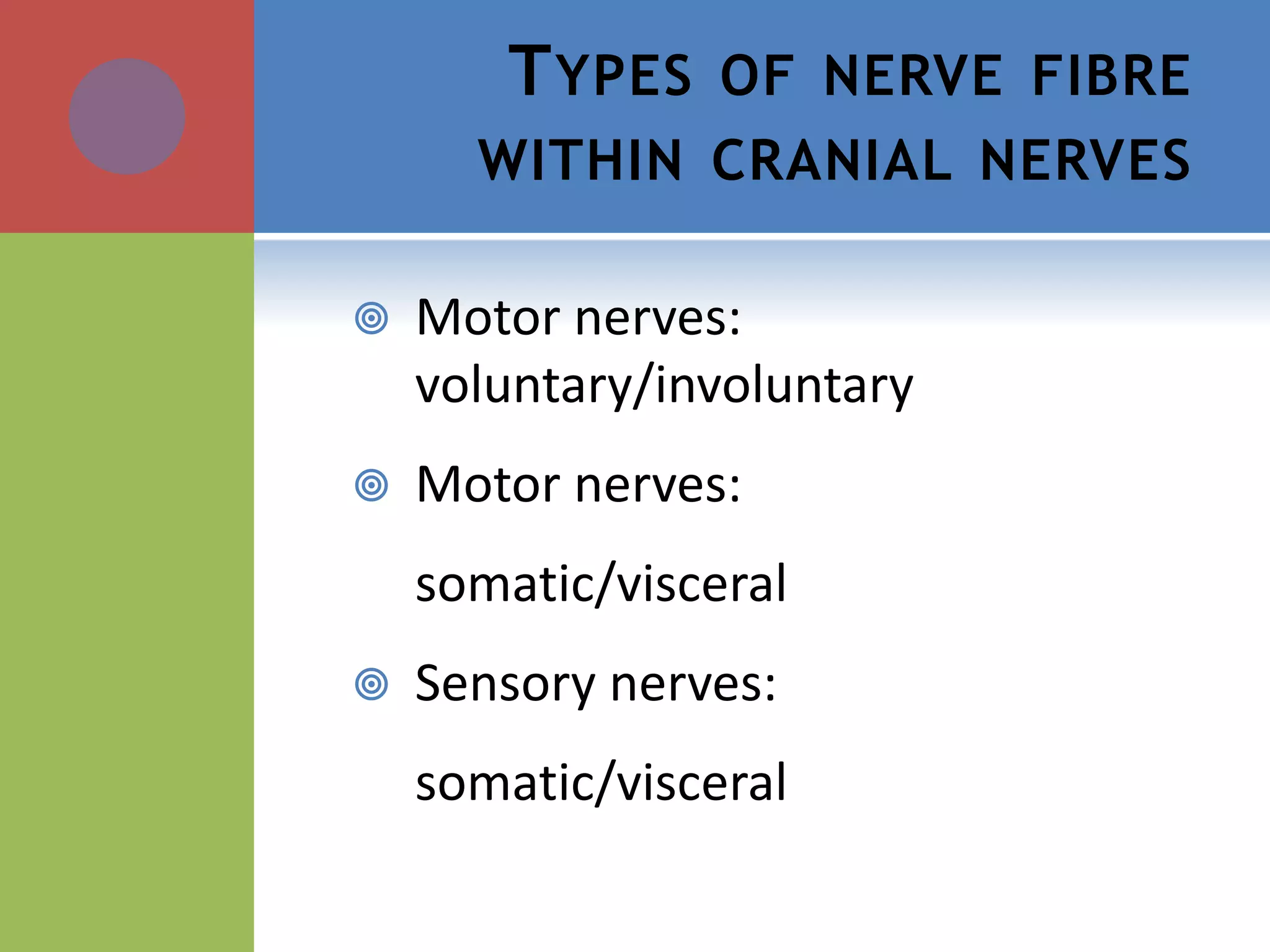 CRANIAL NERVES- ANATOMY | PPT