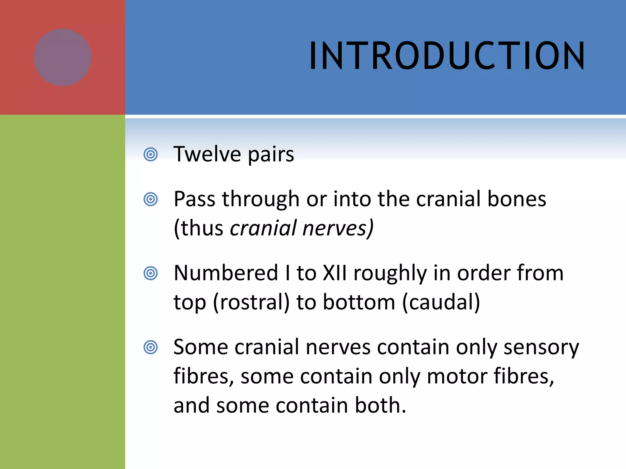 CRANIAL NERVES- ANATOMY | PPT