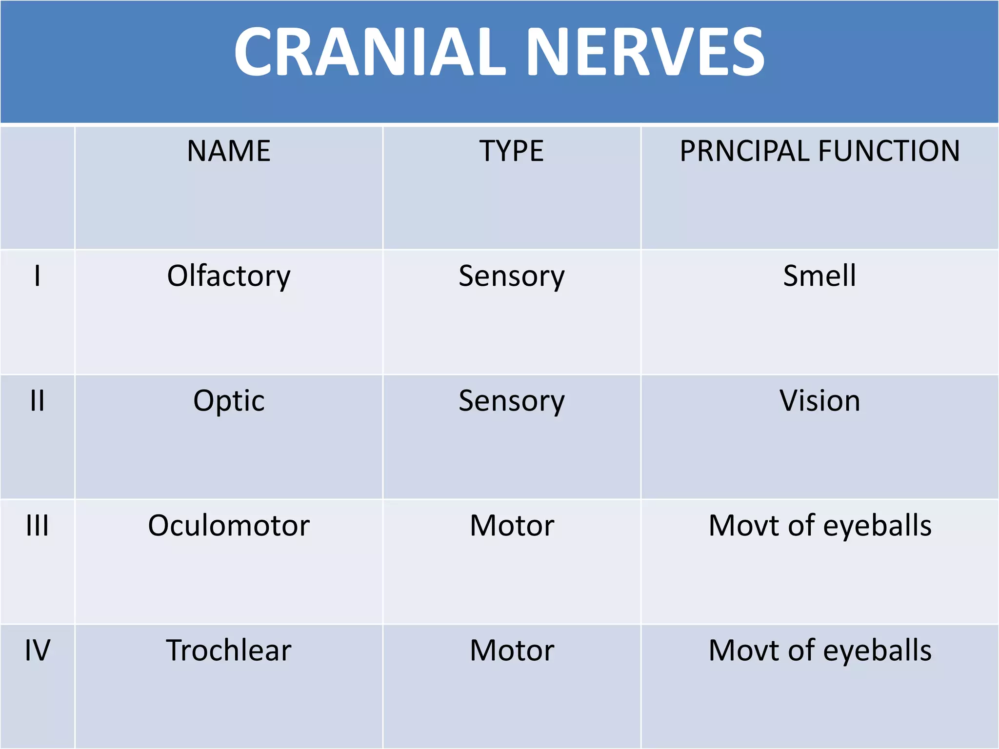 CRANIAL NERVES- ANATOMY | PPT