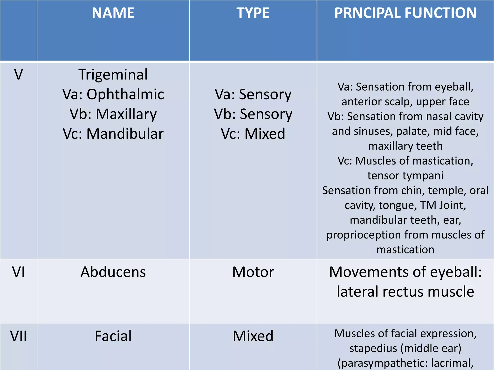 CRANIAL NERVES- ANATOMY | PPT
